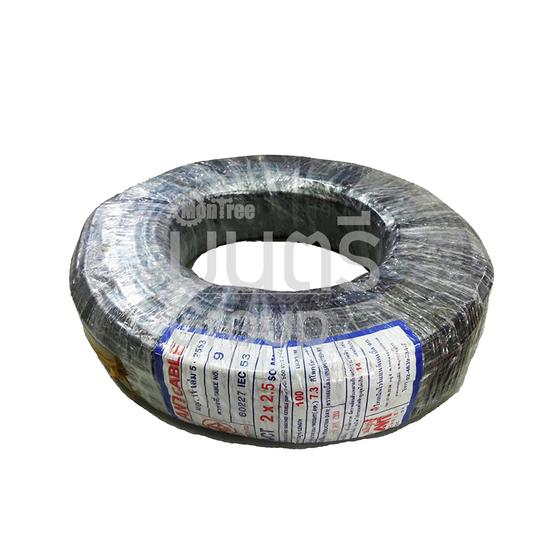 สายไฟ VCT #2 x 2.5