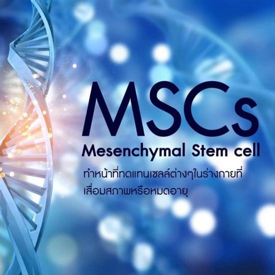 มีเซนไคมอลสเต็มเซลล์ (MSCs) โดย คลินิก เสริมความงาม ชลบุรี The Vogue Clinic